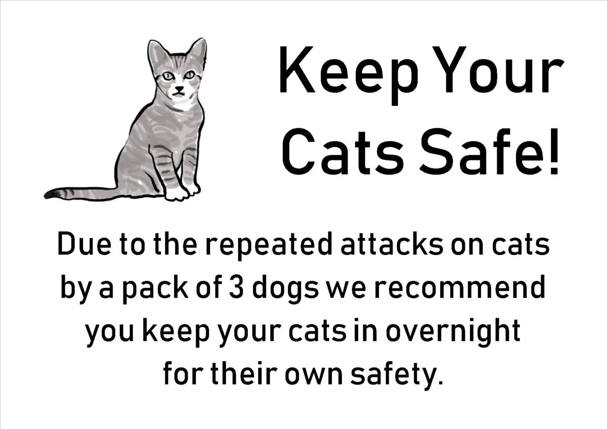 Keep Your Cats Safe – New Ash Green